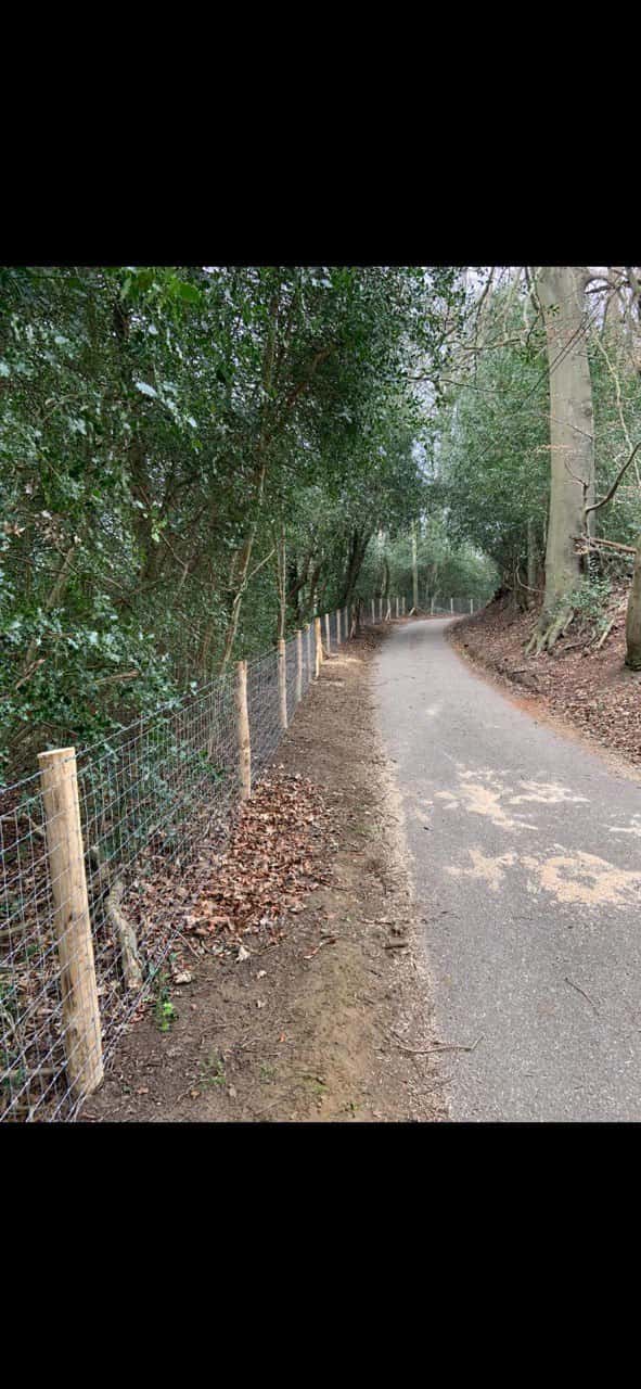 Creating a Serene Zen Garden with Wood Fence Panels - Fast Fix Fencing ...